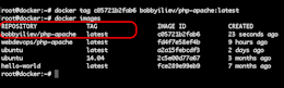 Docker Inspect Format Go Template Lewaw
