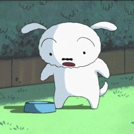 Dev Community - DevDojo